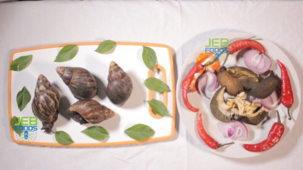 Giant African land snail Jumbo Size Freeze Dried (3 In a Pack) - Jeb Foods